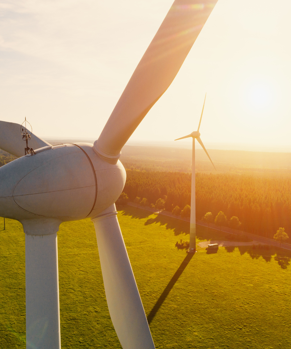 Energía Eólica: qué es, cómo funciona y sus tipos